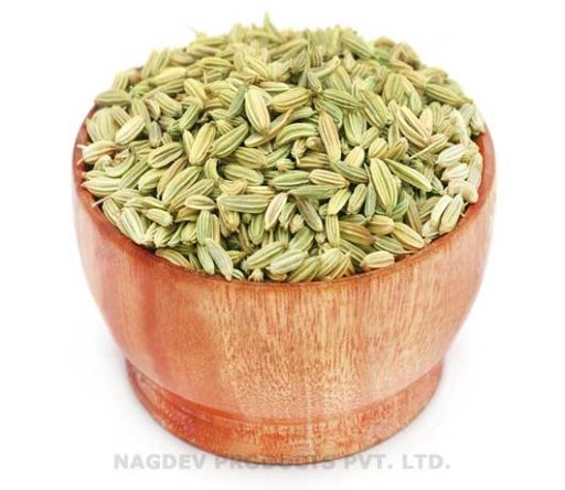 Fennel – Nagdev Products Pvt. Ltd.